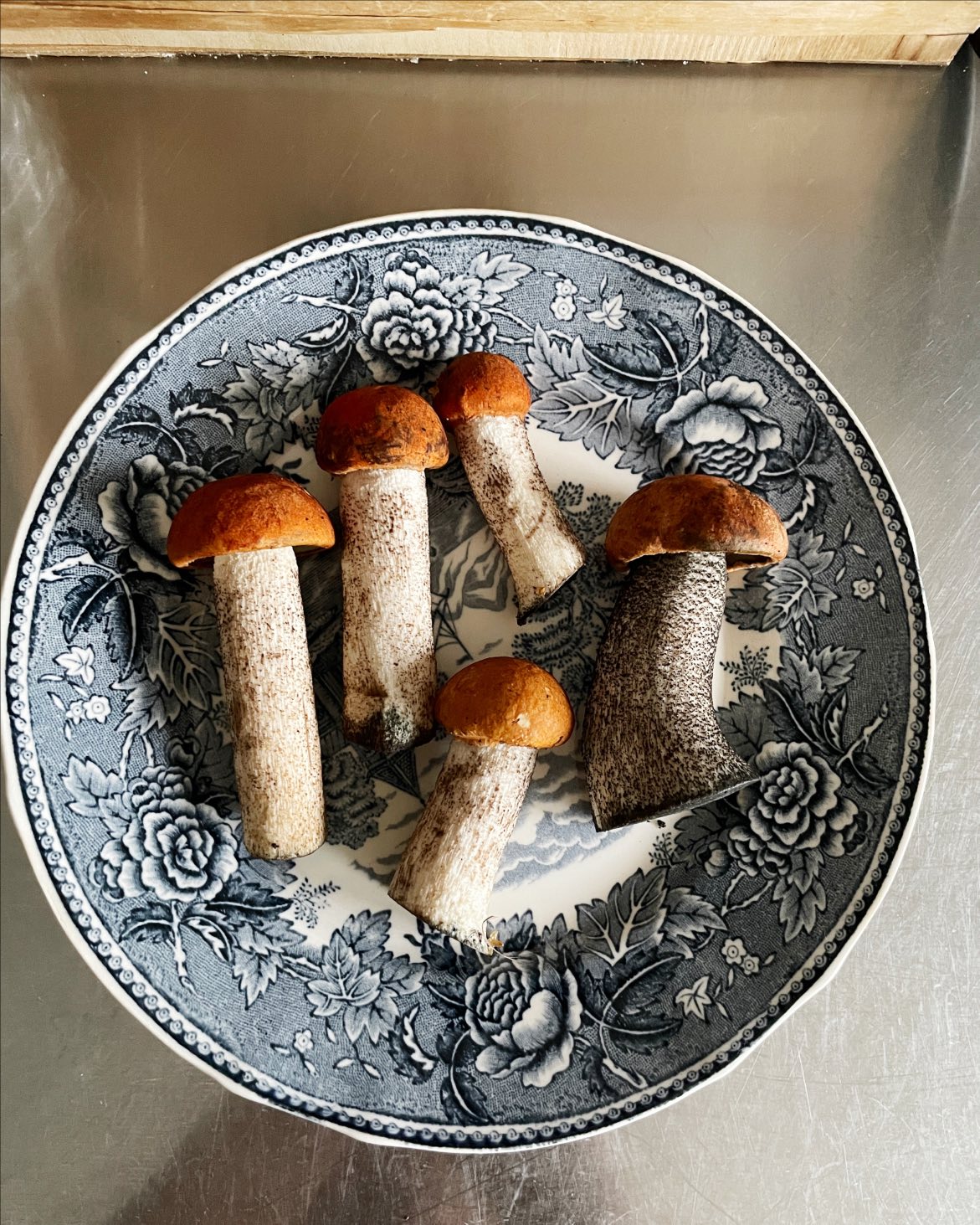 Punikkitattipata: helppo arkiruoka sienestä, jota metsät ovat ...